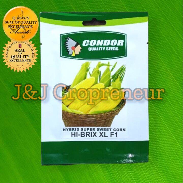 HI-BRIX XL F1 HYBRID SUPER SWEET CORN 10 GRAMS (CONDOR SEEDS) | Lazada PH