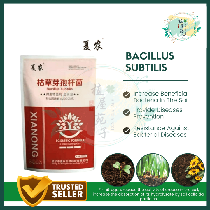 Bacillus subtilis 夏农 枯草芽孢杆菌 | Lazada
