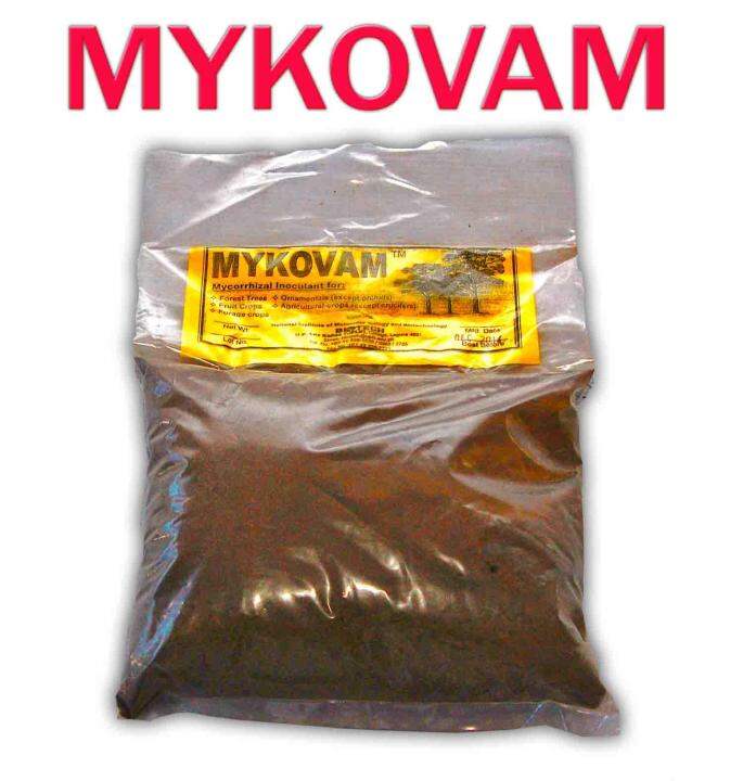 Mykovam biological natural soil conditioner fertilzer inoculant | Lazada PH