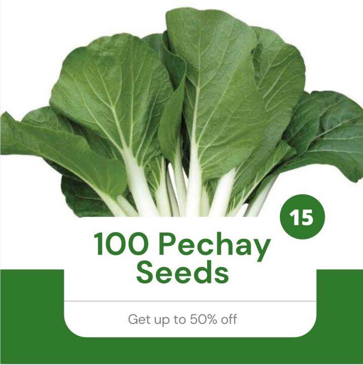 Pechay Vegetable 100 Seeds Binhi Pantanim Outdoor Garden Plant | Lazada PH
