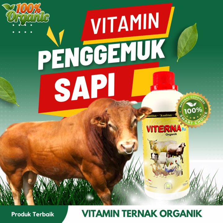 Vitamin sapi Nutrisi penggemuk 500 cc/Vitamin penambah nafsu makan sapi ...
