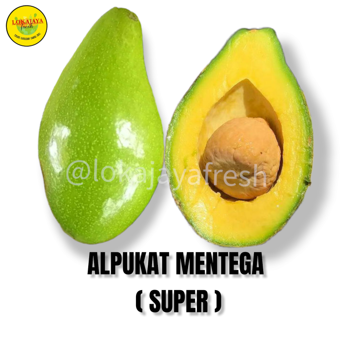 alpukat mentega super jumbo 1 kg | Lazada Indonesia