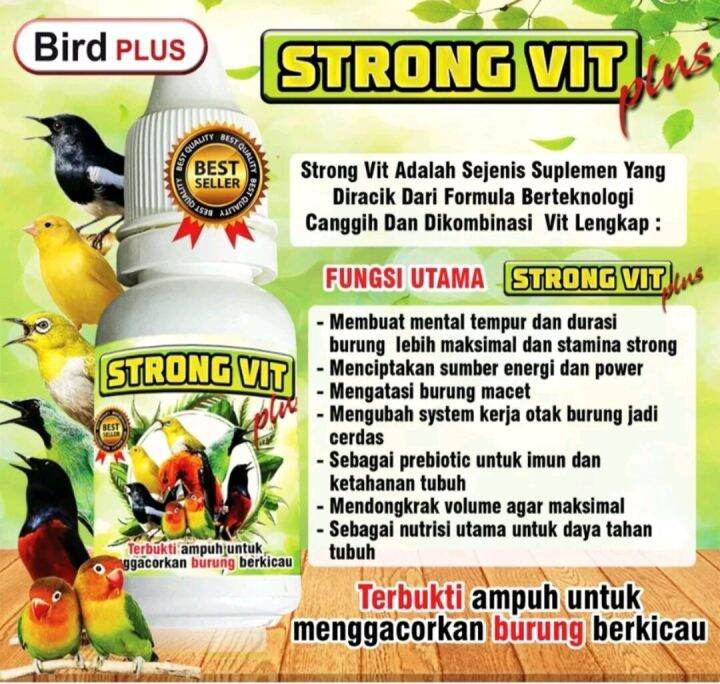 Strong Vit Suplemen Formula Berteknologi Canggih Dan Dikombinasi Dengan ...