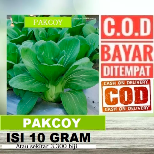 PAKCOY - isi 10 gram atau sekitar 3.300 biji / bibit / benih PAKCOY ...