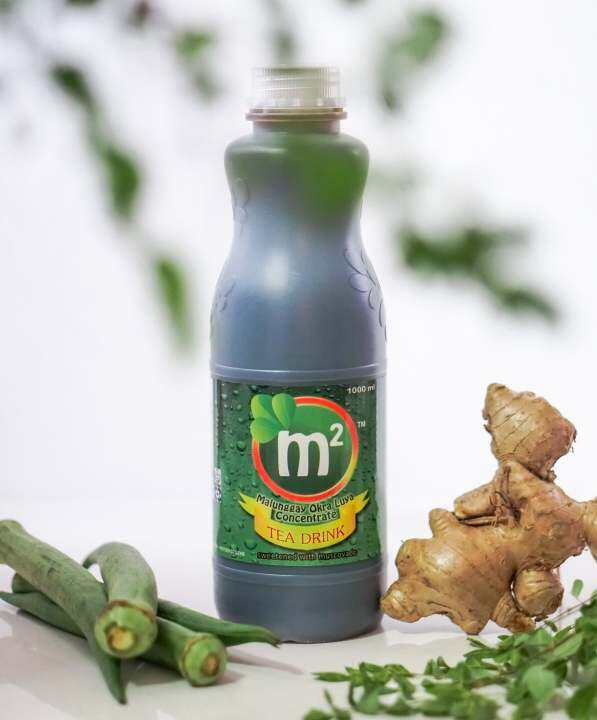 M2 Malunggay Tea Drink Malunggay, Luya and Okra (1000ML AND 300ML) Milk ...
