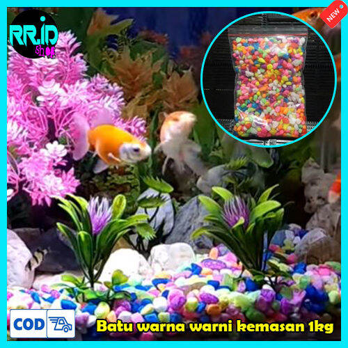 Batu warna warni aquarium aquascape 1kg | Lazada Indonesia