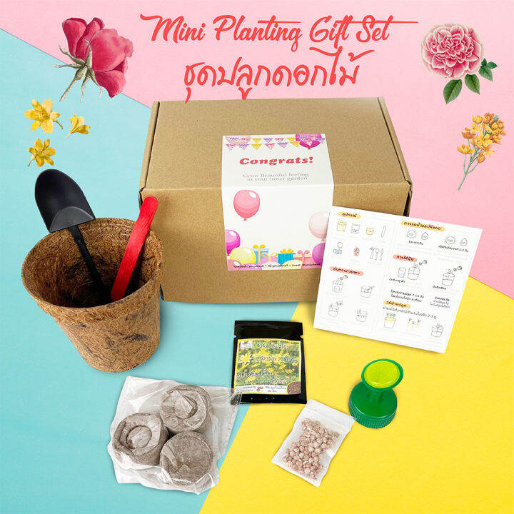Mini Planting Gift Set 🌻 ชุดปลูกต้นไม้ ชุดปลูกดอกไม้ ของขวัญ อุปกรณ์ ...
