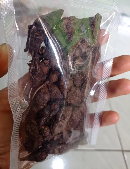 UMBI TEKI/BIANG TEKI/BONGOL RUMPUT TEKI KEMASAN STANDING POUCH | Lazada ...