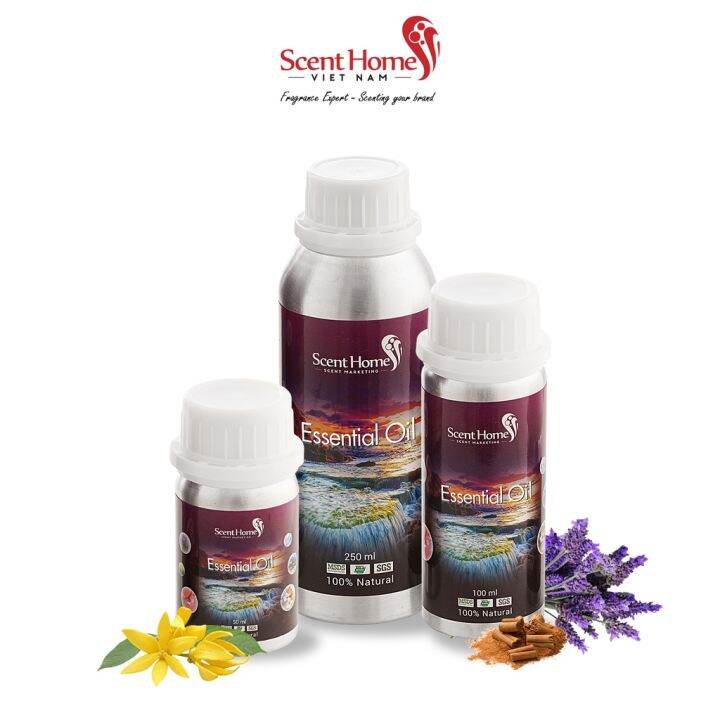 Tinh dầu Scent Homes - mùi hương (Indian Sandalwood) | Lazada.vn