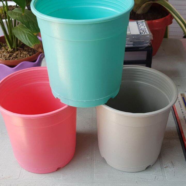 Long Neck Pots | Lazada PH