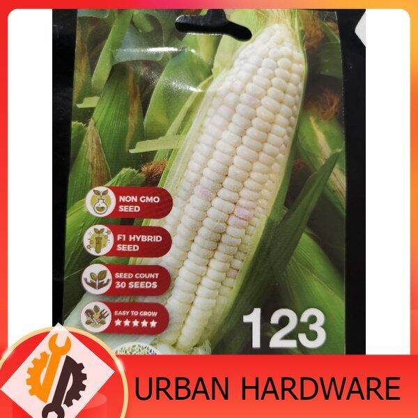 30 SEEDS JAGUNG MANIS PUTIH/ SNOW WHITE CORN /Crop Power Benih Sayur ...