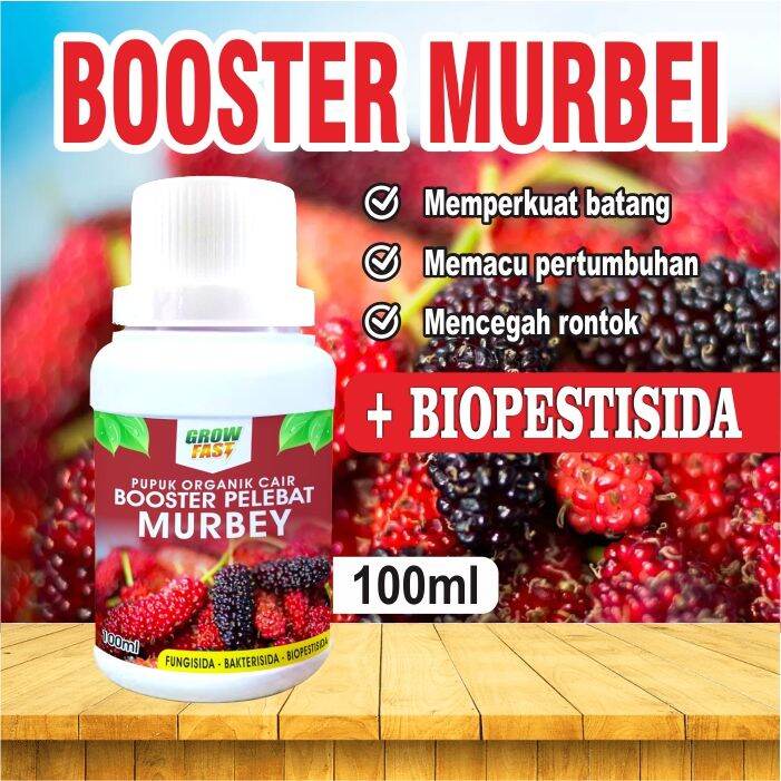 PUPUK BOOSTER MURBEI 100ML PUPUK PELEBAT BUAH PUPUK BOOSTER BUAH PUPUK PERANGSANG BUAH | Lazada ...