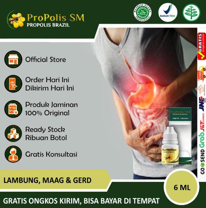 Herbal Untuk Asam Lambung, Sakit Maag, Gerd - Propolis SM Brazil Asli ...