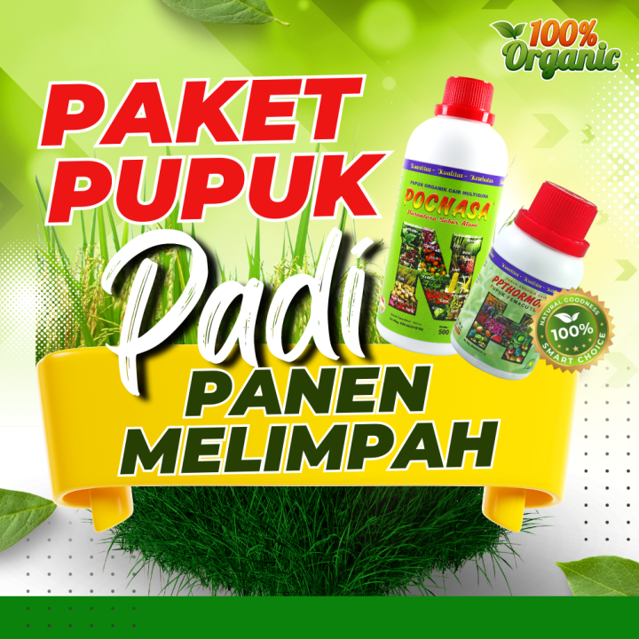 Pupuk Padi/Pupuk Organik Cair Untuk Tanaman Padi/Pupuk Perangsang Buah Padi Dan Pelebat Buah ...