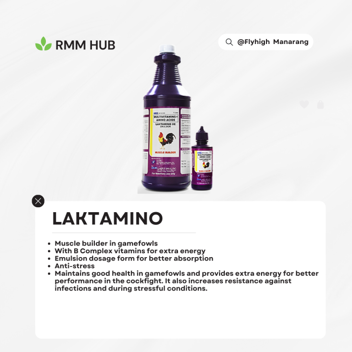 LAKTAMINO XE 30 ML - RMM HUB | Lazada PH