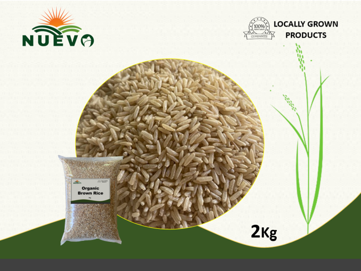 Organic Brown Rice | 2 Kg | Lazada PH