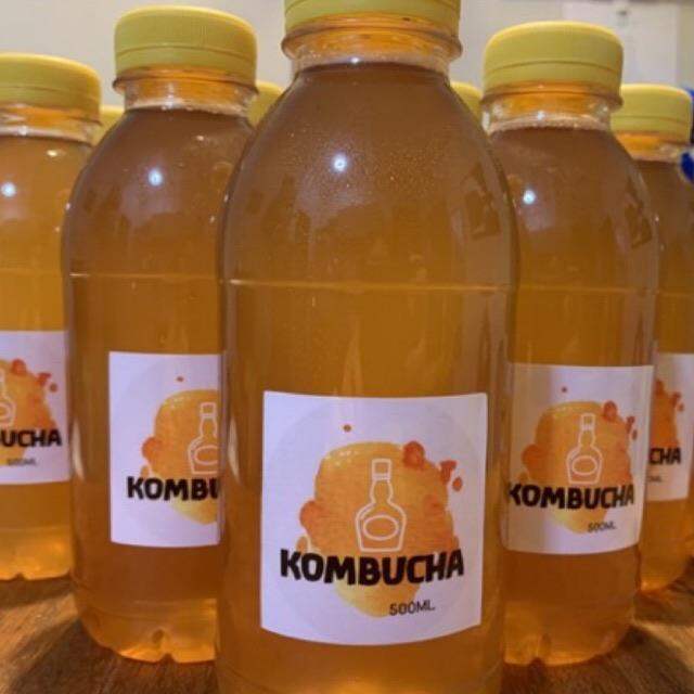 (500 ml) KOMBUCHA fermented Plain Tea (Ready-to-drink) | Lazada PH