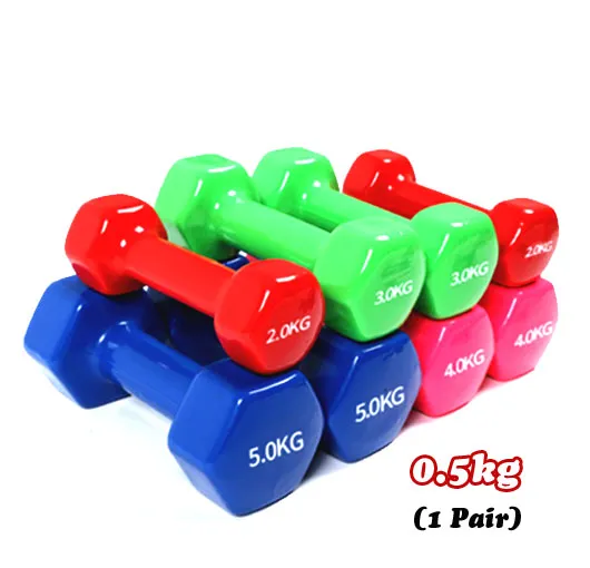 DUMBBELL/Mini - 2Pcs/Set 0.5Kg Portable Muscle Enhancing Weight ...
