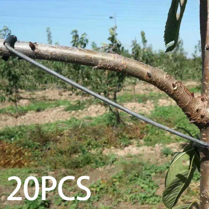 oshhni 20x Fruit Branch Spreader Reuseable Steel Wire New Branches ...