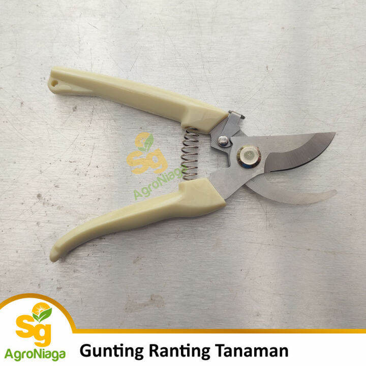 Gunting Ranting Untuk Tanaman Berbahan Stainless | Lazada Indonesia