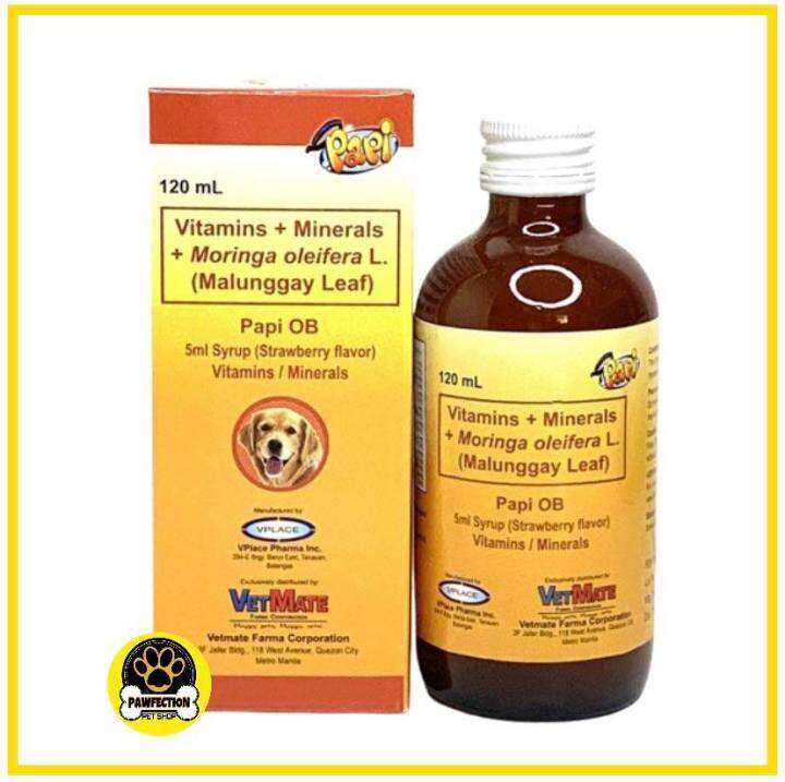 PAPI OB SYRUP Vitamins + Minerals (120ml) for Pregnant and Lactating ...
