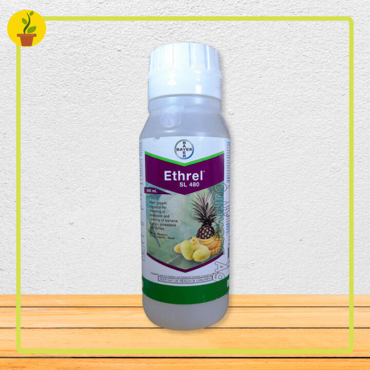 Ethrel 480 SL (Plant Growth Regulator, Pampahinog & Pampabunga) [500 ML ...
