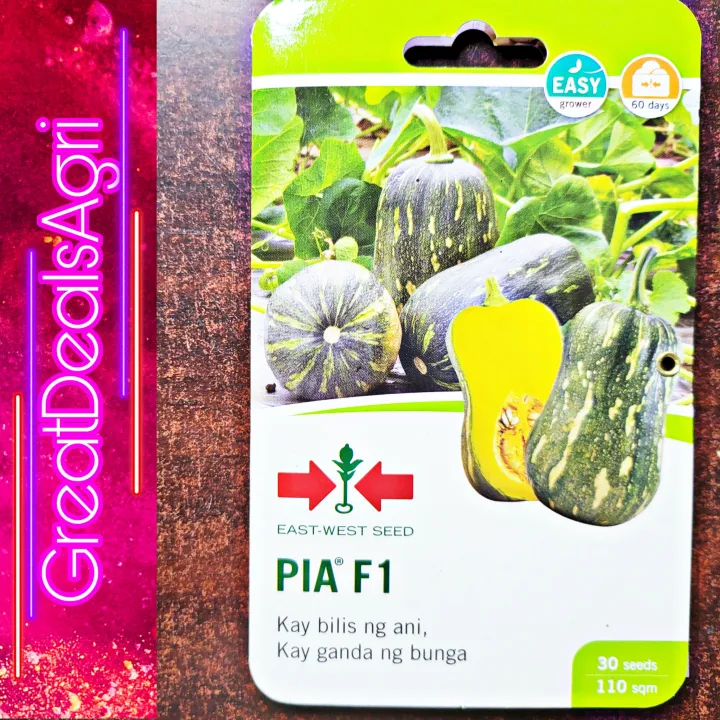 PIA F1 KALABASA SEEDS (30 SEEDS) EAST WEST SEEDS | Lazada PH