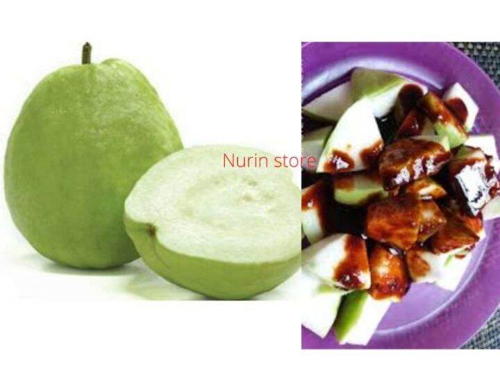 JAMBU BATU ADA BIJI SEKILO | Lazada