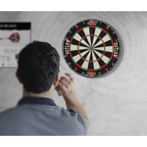 Ntk3PCS DART PIN 24 GRAMS W/FREE DART FLIGHTS | Lazada PH