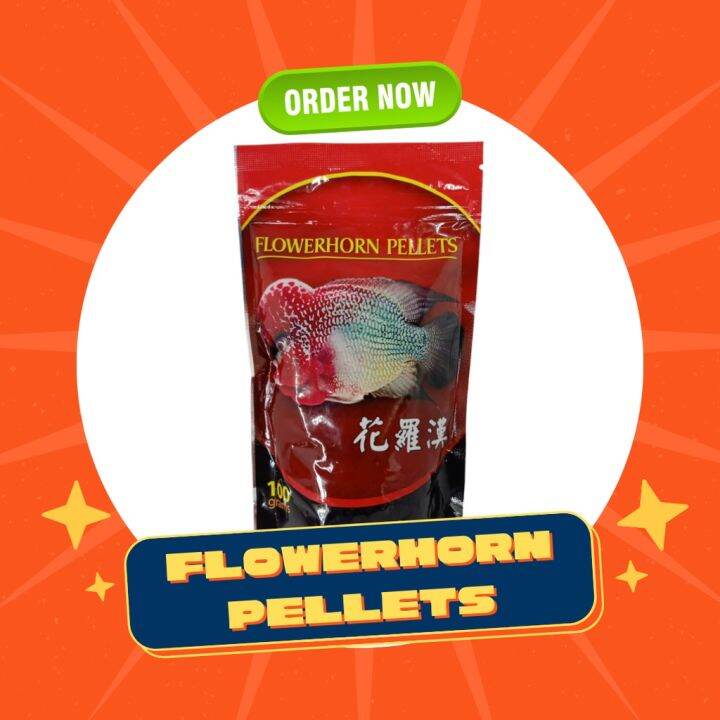 Infinity Flowerhorn Pellets 100 Grams | Lazada PH