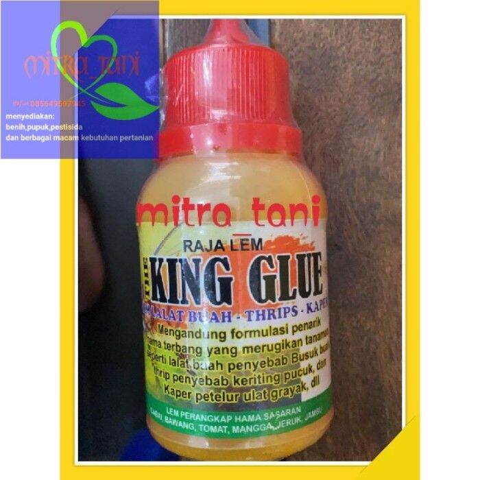 raja lem lalat buah,thrips,kaper KING GLUE 100ml cocok untuk cabai ...