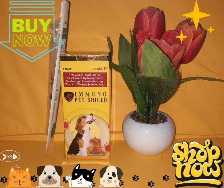 IMMUNO PET SHIELD for Dogs and Cats 120ml with FREE Syringe | Lazada PH