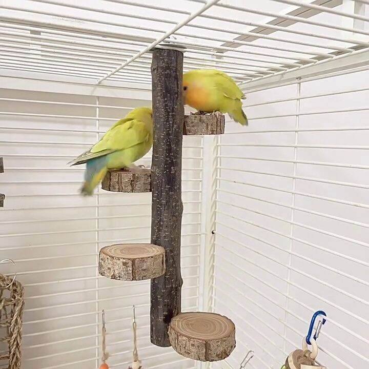 FunsLane Bird Perch Stand Toy Hanging Multi Stand Perch Natural Wood ...