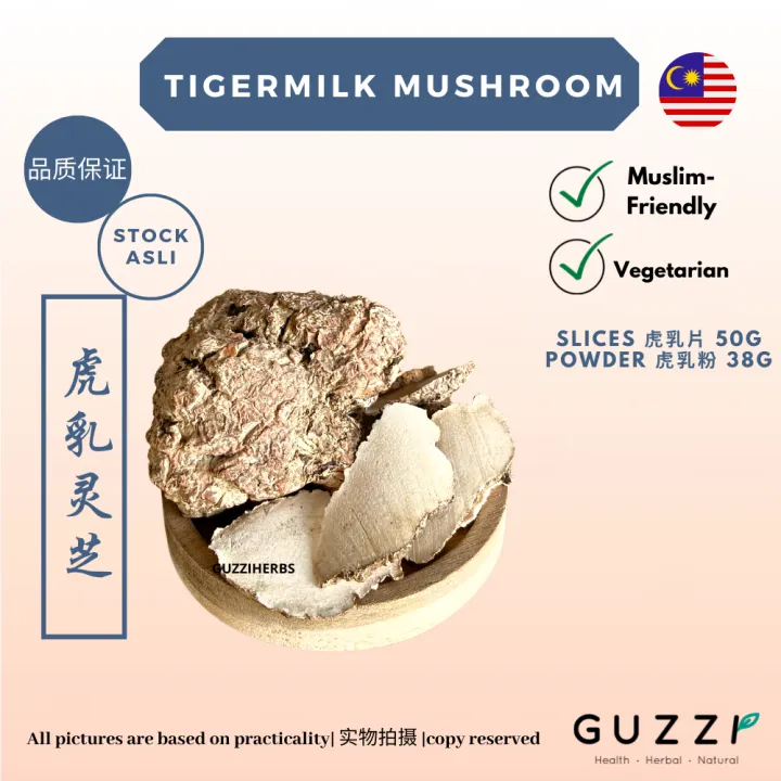 虎乳灵芝 cendawan susu rimau 老虎奶 Tiger Milk | Lazada