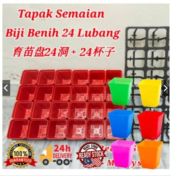 ⭐Seeding Tray 24 Pot/Pasu Semaian 24 Pasu/育苗盘24盆/Tapak Semaian Biji ...