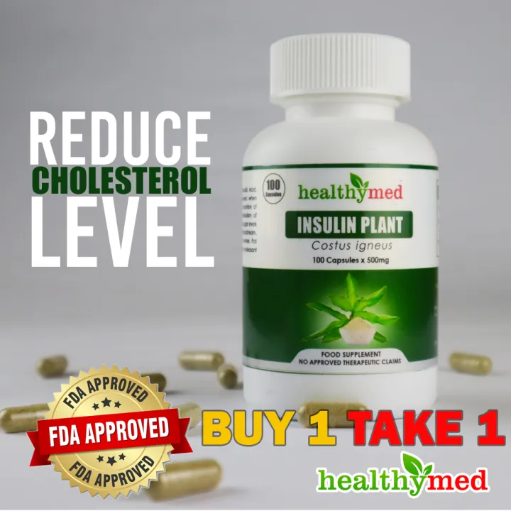 BUY 1 TAKE 1 Healthymed Insulin Plant Capsule - Pure Organic Insulin ...
