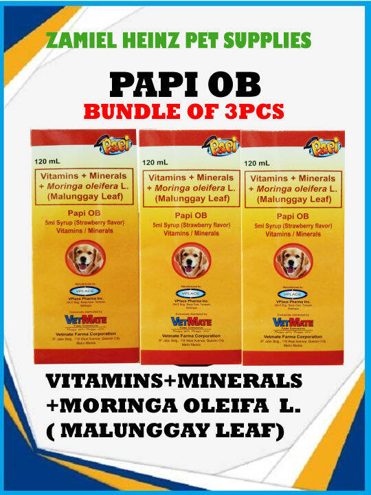 PAPI OB SYRUP Vitamins + Minerals (MALUNGGAY LEAF) (120ml) (BUNDLE OF ...