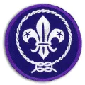 BADGE PRAMUKA WOSM PUTRA/WOSM PUTRI/LAMBANG GERAKAN PRAMUKA/TANDA ...