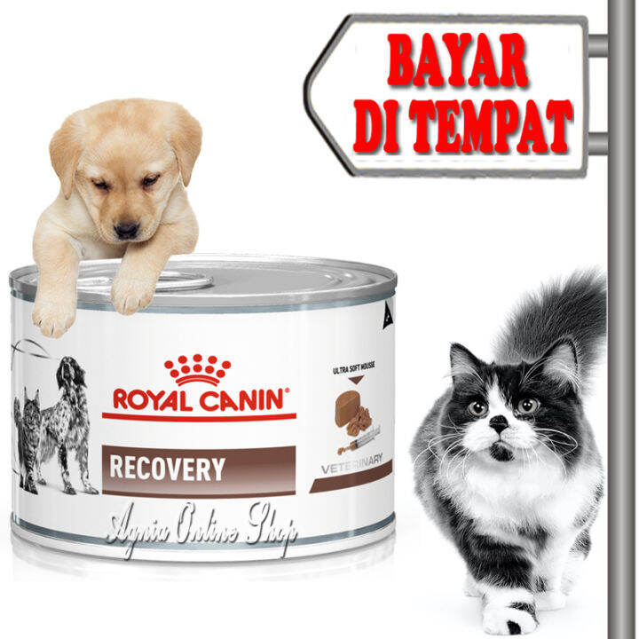 Royal Canin Recovery Makanan Kucing Sakit Wet Food RC 195 Gram | Lazada ...