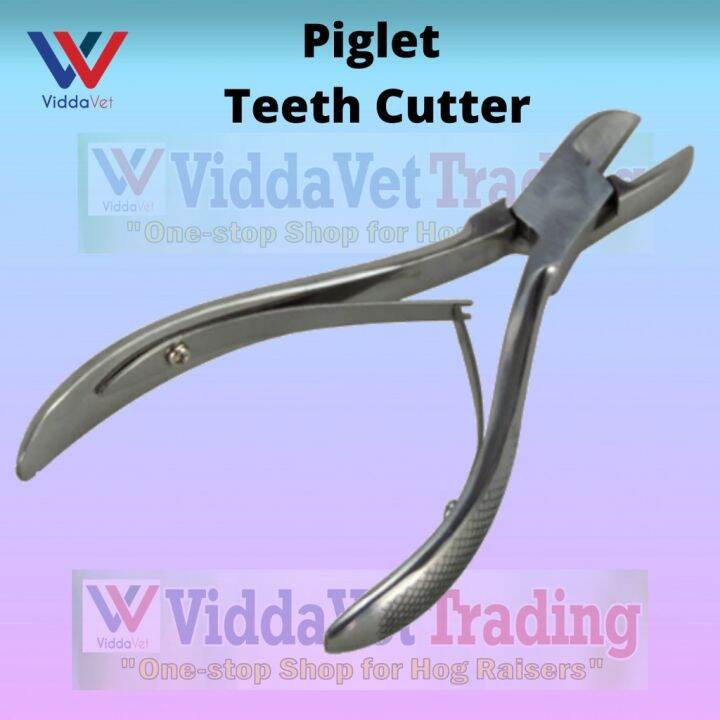 Stainless Steel Piglet teeth cutter nipper pamputol o pambawas sa ...