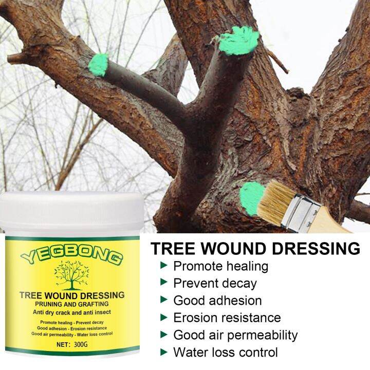 LazaraSport Premium Tree Wound Sealer Treatment Cream Cut Heal Tree ...