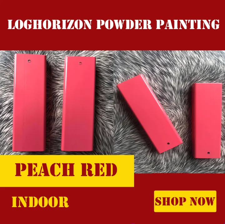 Powder Coating Powder - 1kg Peach Red | Lazada PH