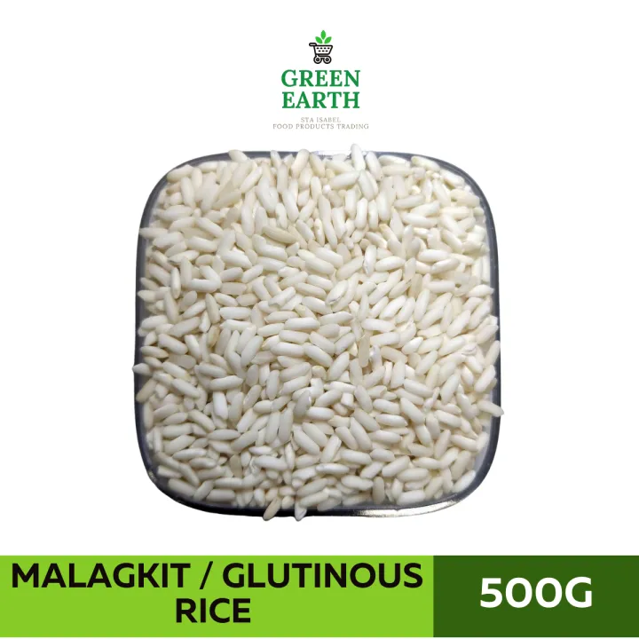 GREEN EARTH Malagkit / Glutinous Rice - 1kg | Lazada PH