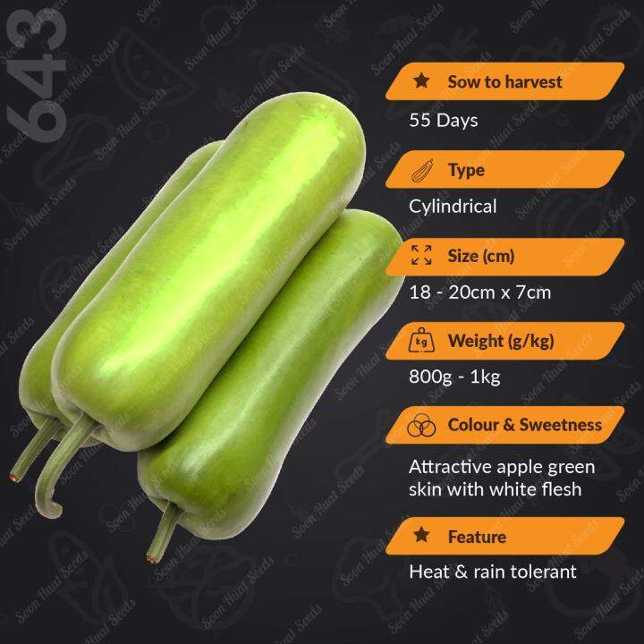 Soon Huat Benih Labu Air 643 Baby Bottle Gourd Seeds (It's a seed, not ...