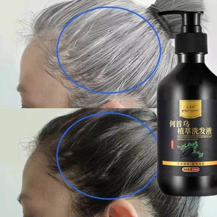 Polygonum Multiflorum Shampoo Black Herbal Natural Polygonum ...