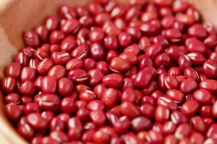 Red Mung Beans/Adzuki Beans (Red Monggo) 500g | Lazada PH