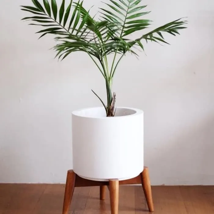 Pot Taman Unik Cantik Bahan Semen Plus Rak Kayu | Lazada Indonesia