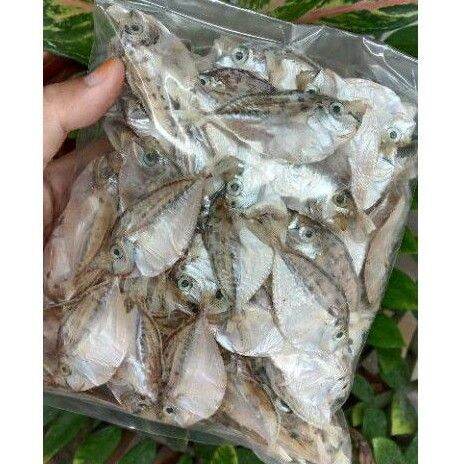 ikan asin petek kecil/pitik kering ; 500 gram | Lazada Indonesia