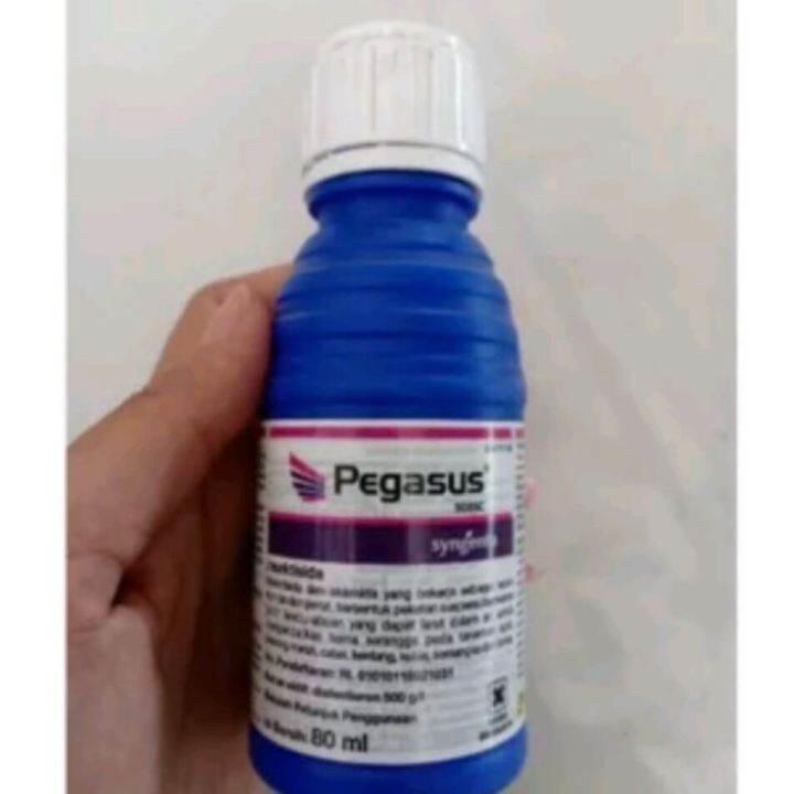 PEGASUS 80ml 500SC Insektisida & Akarisida | Lazada Indonesia