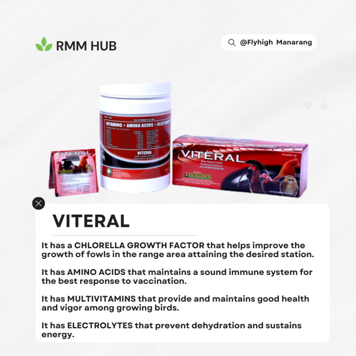 Viteral 1 Sachet [EXCELLENCE] - RMM HUB | Lazada PH